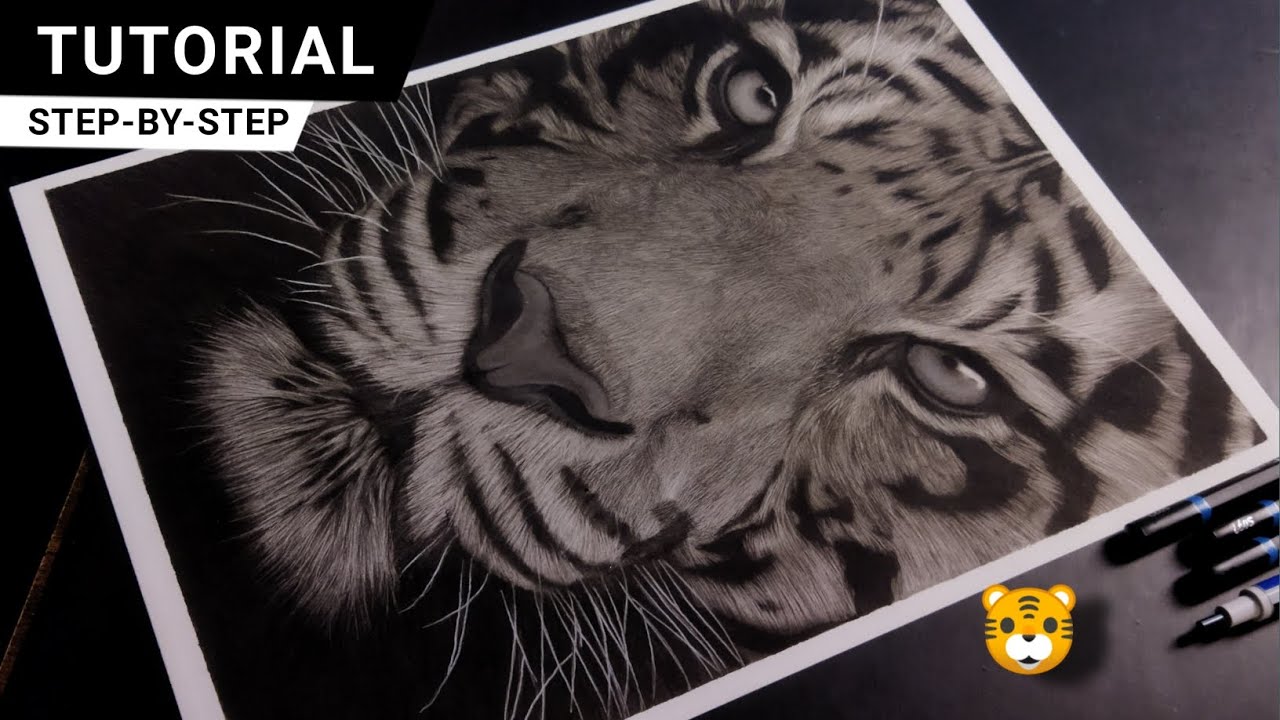 Real Time Tiger Drawing With Charcoal Pencil | Tutorial for BEGINNERS ...