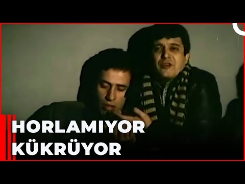 Şaban ve Ökkeş Hapishanede Karşılaşıyor | Dokunmayın Şabanıma