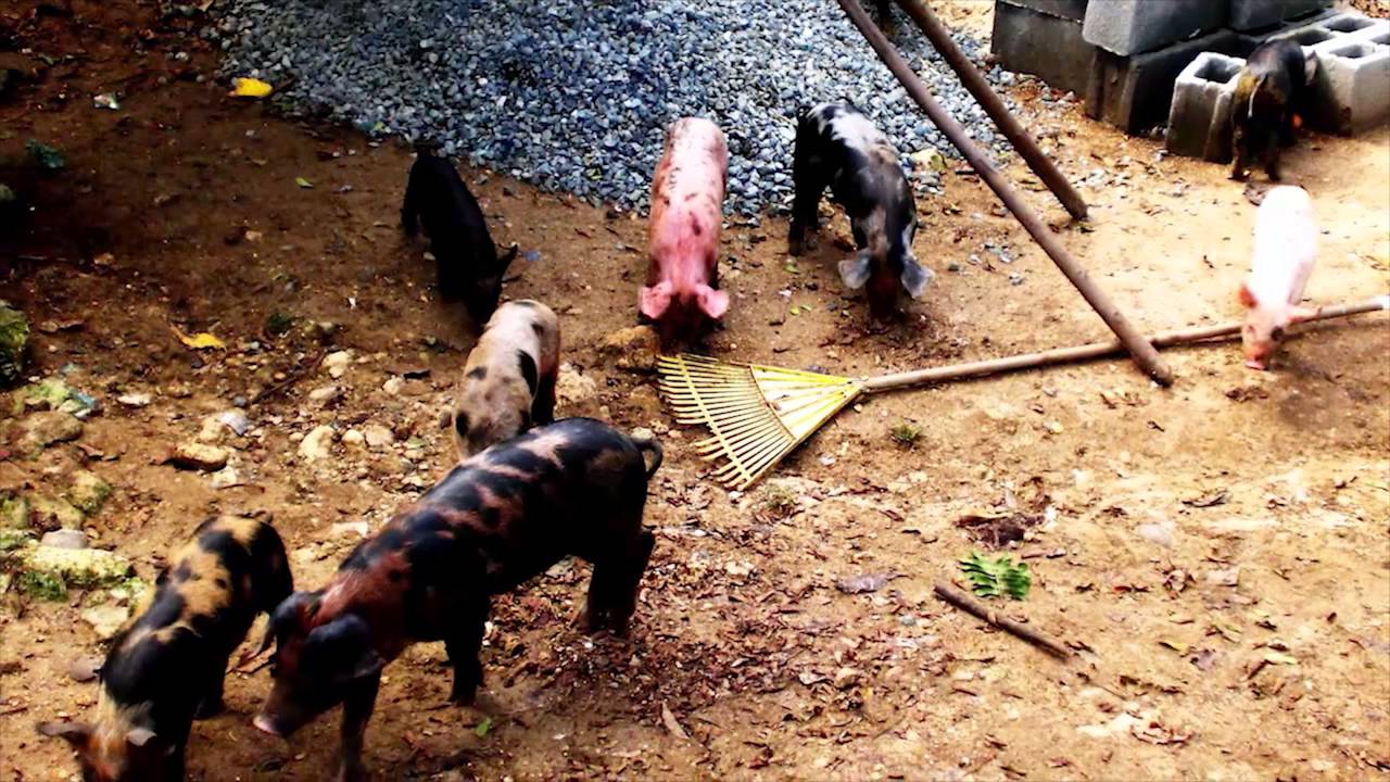 Team Detroit Changemakers: Meet Mandy Moran - YouTube