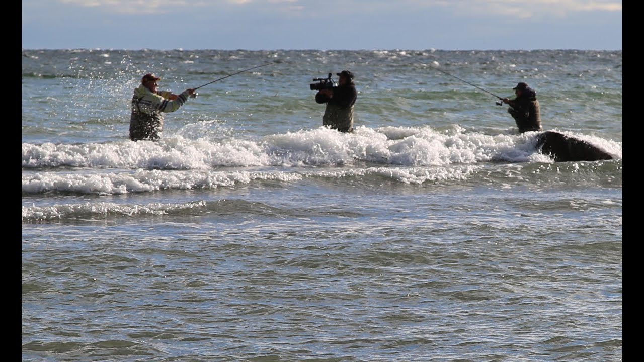 МОРСКАЯ РЫБАЛКА. ЛОСОСЬ. ДАНИЯ. © Denmark. Fishing travel. Sea trout ...