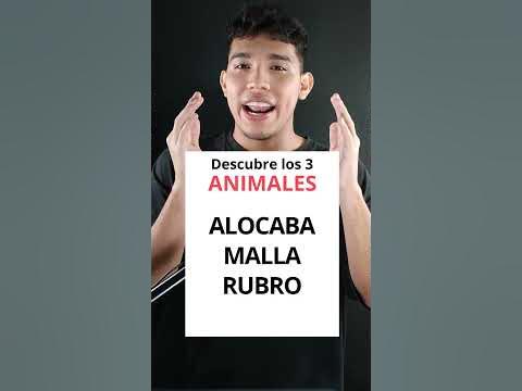 Descubre los anagramas - YouTube