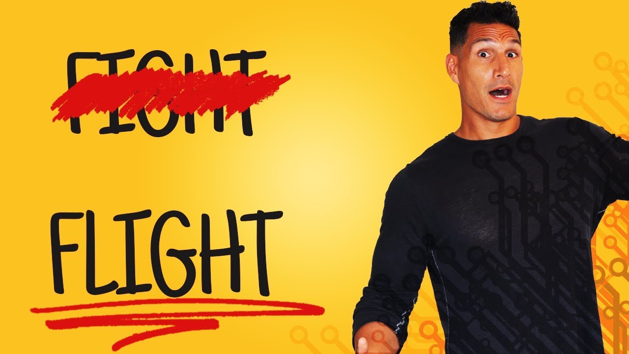 Fight Or Flight Response: Why Do We Always Flight? - YouTube