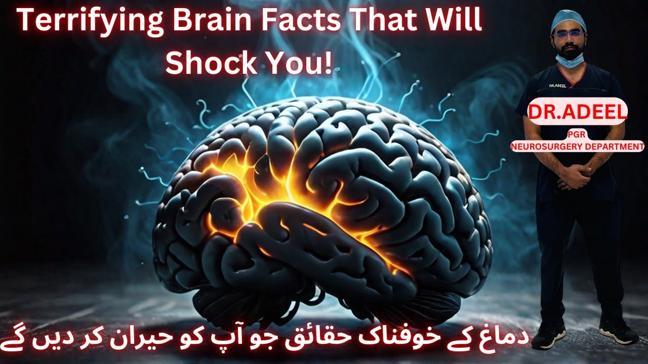 You Won't Believe These SCARY Brain Facts! - YouTube