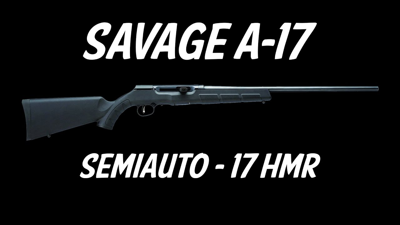 Savage A17 Semiauto 17 HMR Rifle - First Look - YouTube