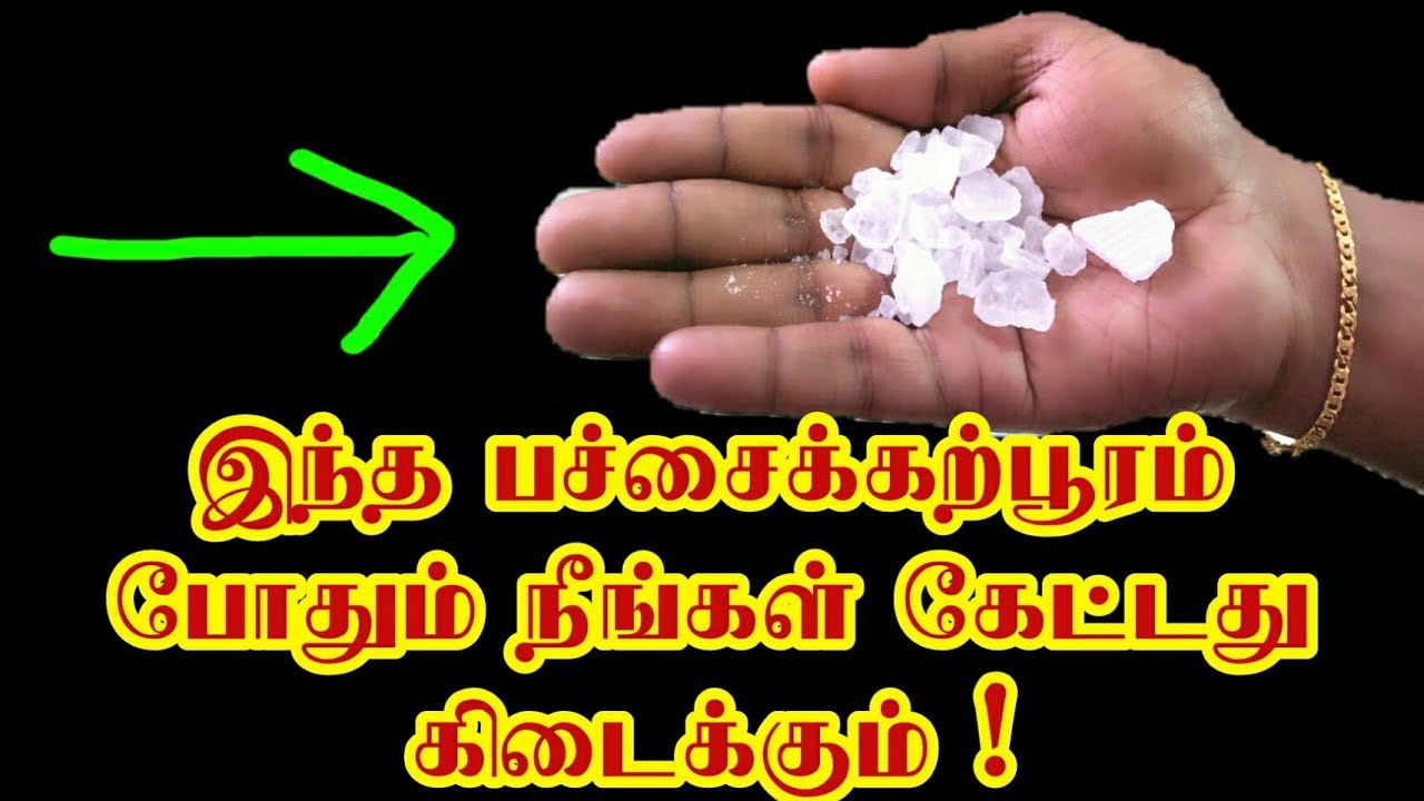 இந்த பச்சைக் கற்பூரம் போதும்- இதன் மகிமை பணவரவு ஏற்படுத்தும்! Patchai ...