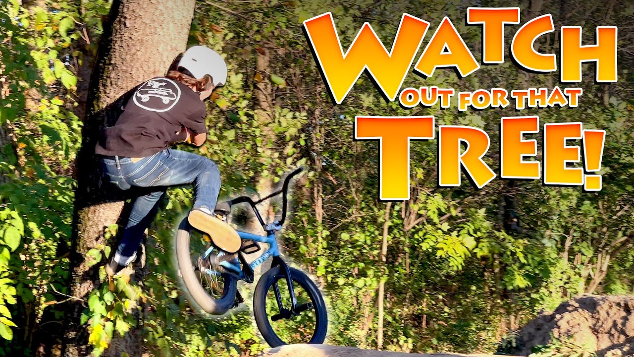 Watch Out For That Tree! Everyone Got Taken Out.. - YouTube