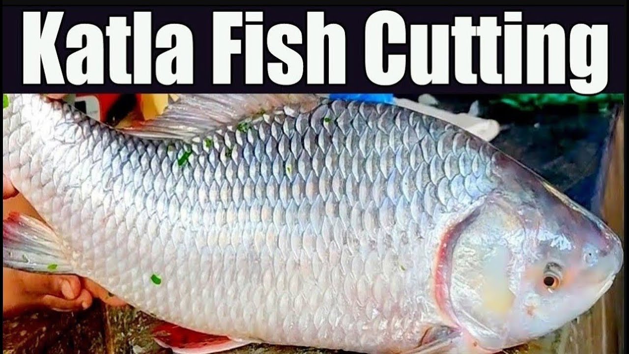 How to cut big katla fish Fish market Dhaka Kawran bazar Fish market in ...