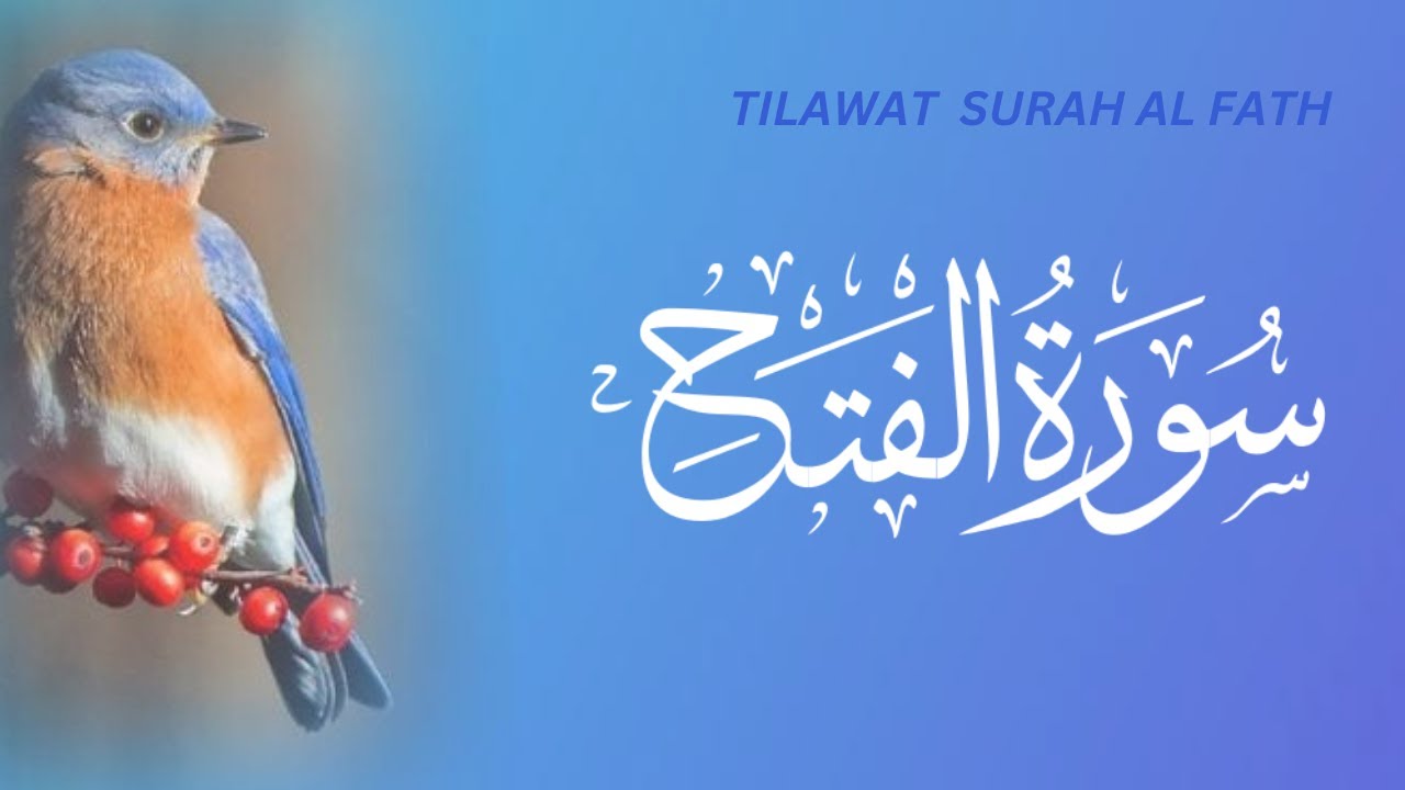 Surah Al Fath | Surah AL Fath ki Tilawat | Most Beautiful Surah ...