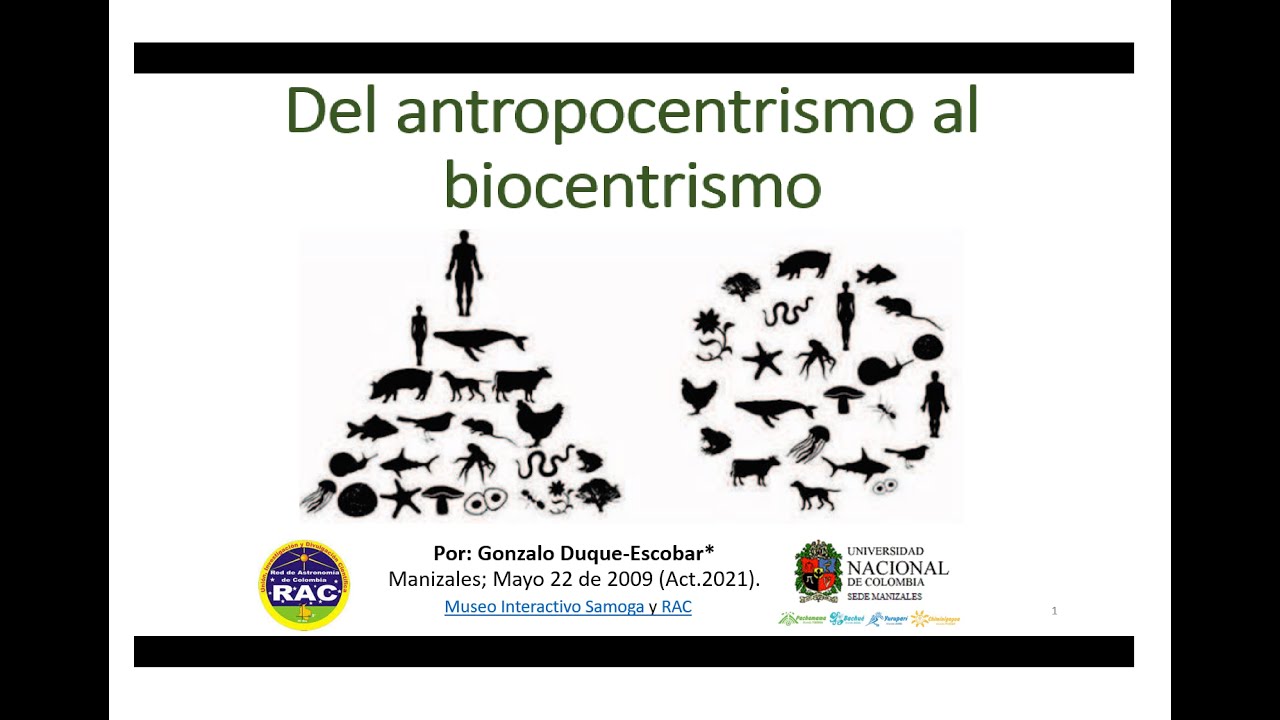 Del antropocentrismo al biocentrismo - YouTube