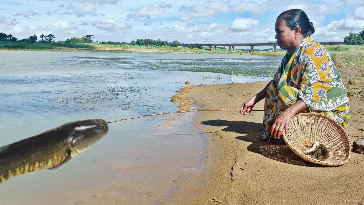fishing video 2022 | Unbelievable Fishing Method🎣 | grandma fishing ...