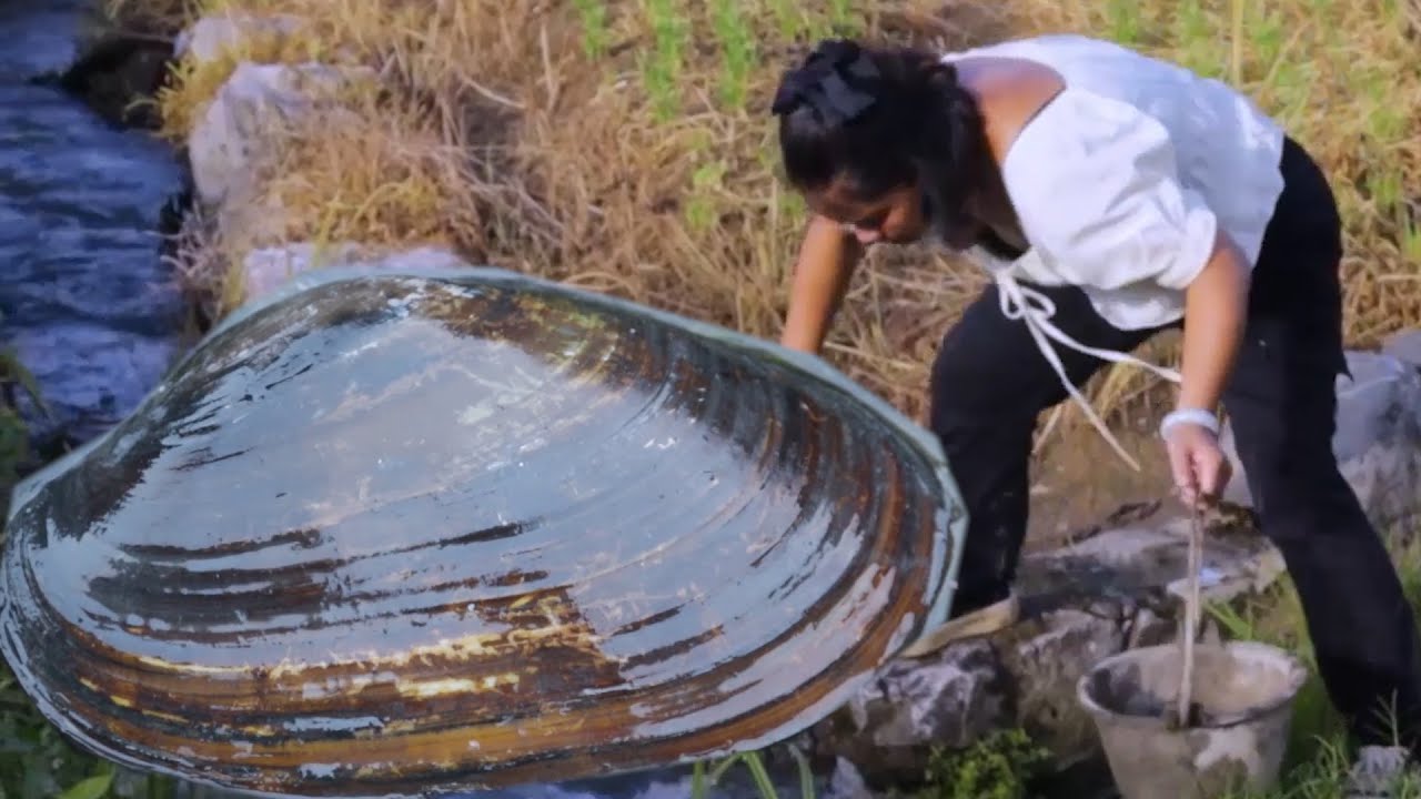 The uniqueness of high-quality clam shells lies in their ability to ...