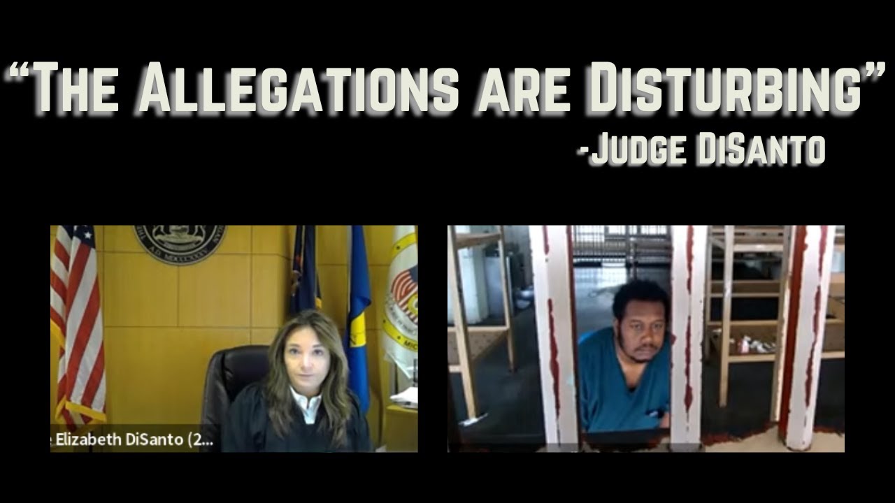 Judge DiSanto sentences Animal Thrower - YouTube