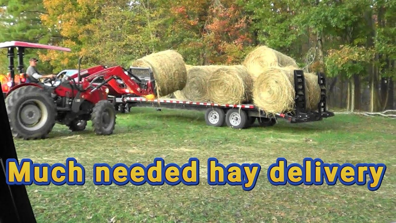 Much needed hay delivery. - YouTube