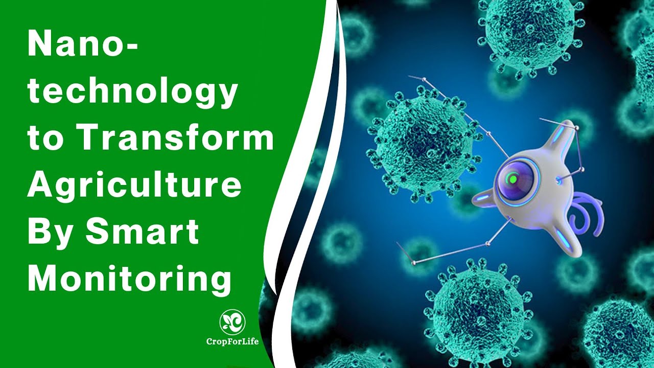 Nanotechnology Going to Transform Agriculture By Smart Monitoring - YouTube