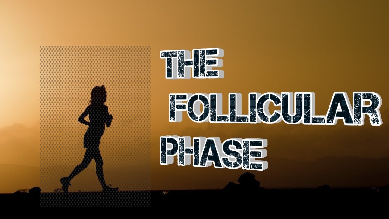 What Is FOLLICULAR PHASE What Does FOLLICULAR PHASE Mean FOLLICULAR what-is-follicular-phase-what-does-follicular-phase-mean-follicular
