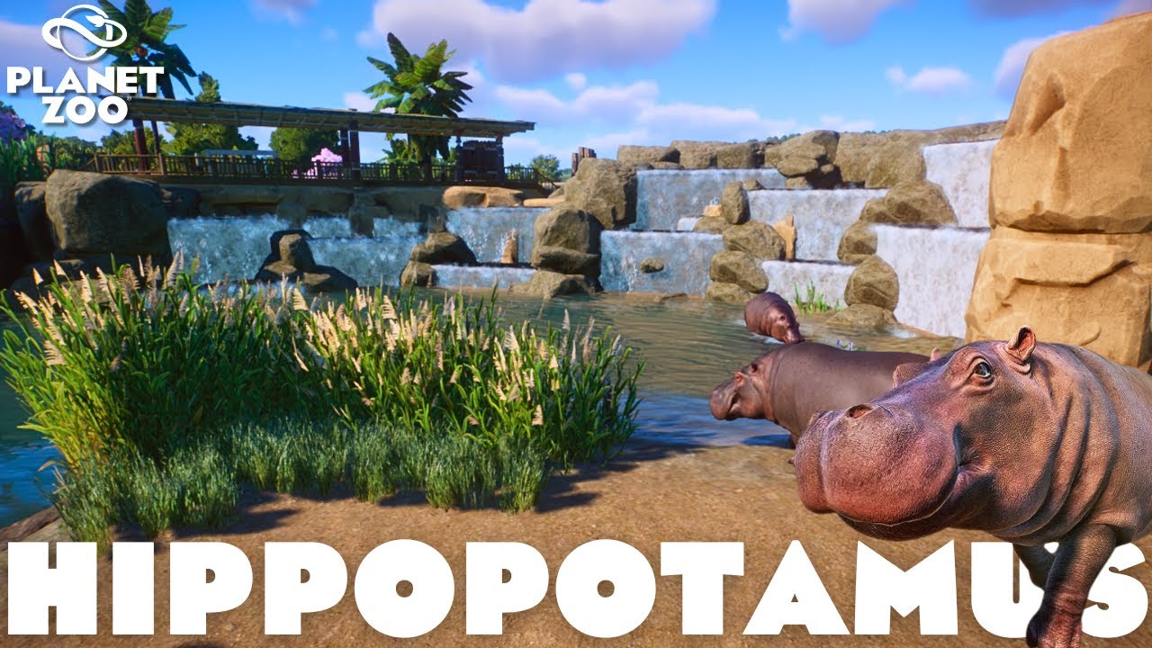 I Built a HIPPO Habitat in Wild Horizon Park - Planet Zoo - YouTube