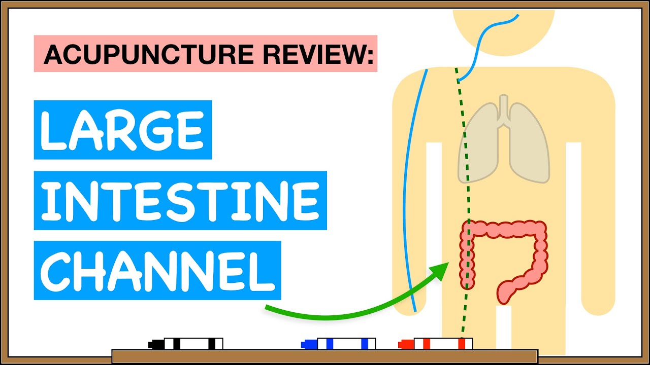 Points Review: Large Intestine Channel Acupuncture Meridian - YouTube