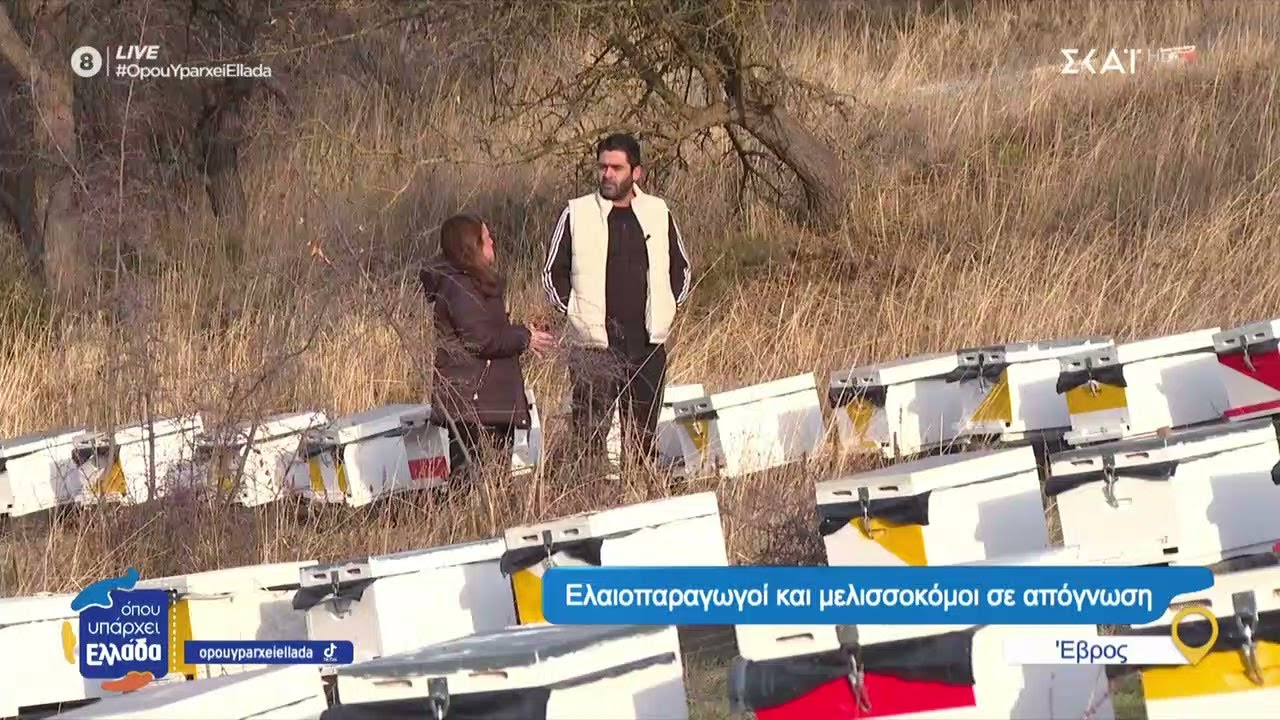 Ελαιοπαραγωγοί, μελισσοκόμοι και κτηνοτρόφοι σε απόγνωση, μετά την ...