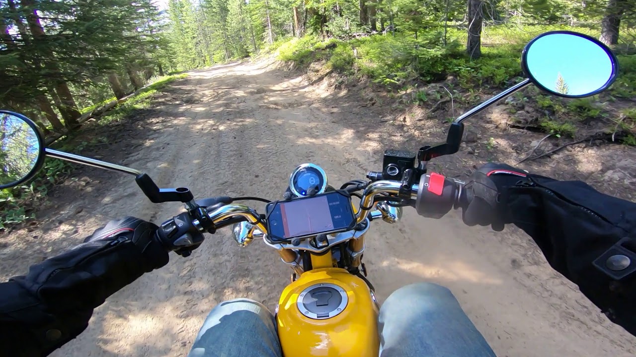 2019 Honda Monkey Goes Offroad In Colorado! - YouTube