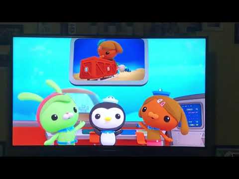 Octonauts Creature Report Baby Sea Turtles - YouTube