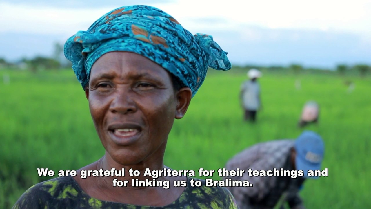 Local sourcing project with Heineken/Bralima in Congo DRC - YouTube