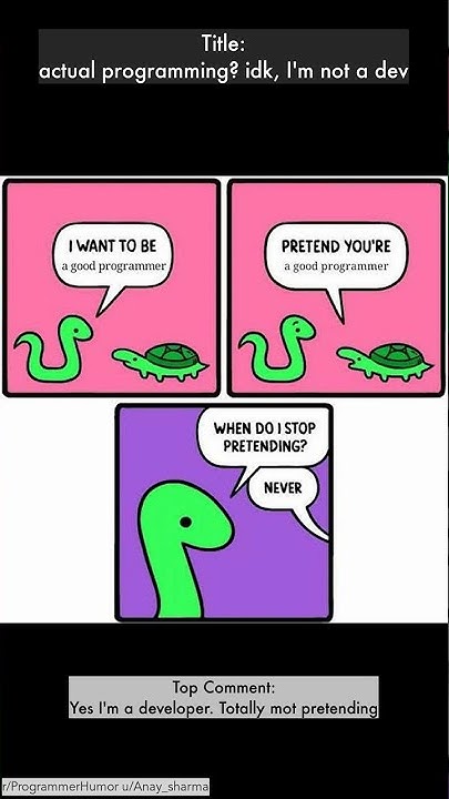 actual programming? idk, I'm not a dev - Best of r/ProgrammerHumor for Oct 1st 2022! - YouTube