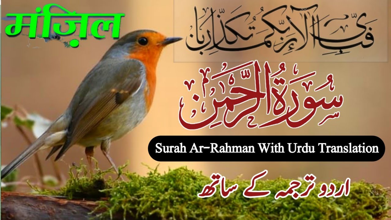 Surah Rahman with Urdu Tarjuma |Epi 001 Tilawat e Quran |surah rahman ...