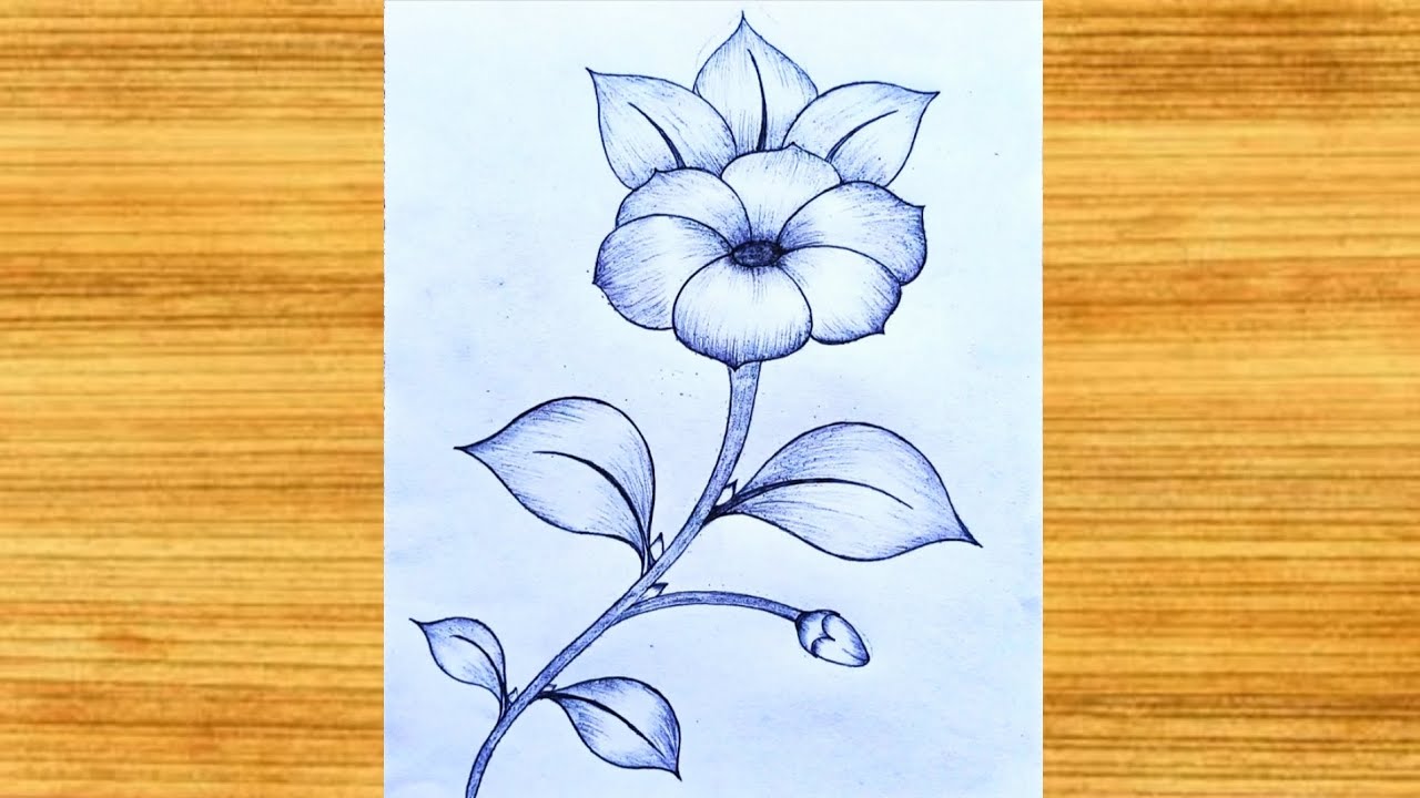 beautiful flower drawing easy || beautiful flower drawing with pencil ...