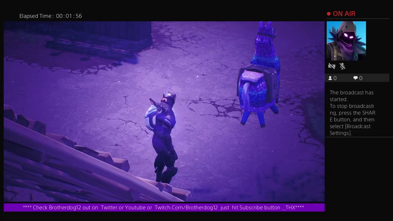 9 Year old finds first Llama .Lol - YouTube