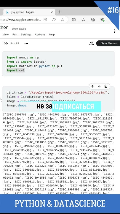 Урок 16 Пайтон программирование с нуля Python видео уроки для начинающих Python Datascience
