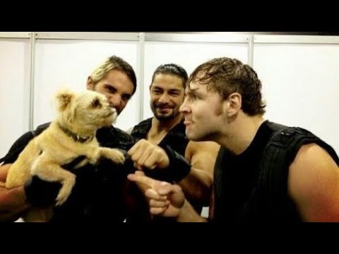 S.H.I.E.L.D Funny Interview Moments