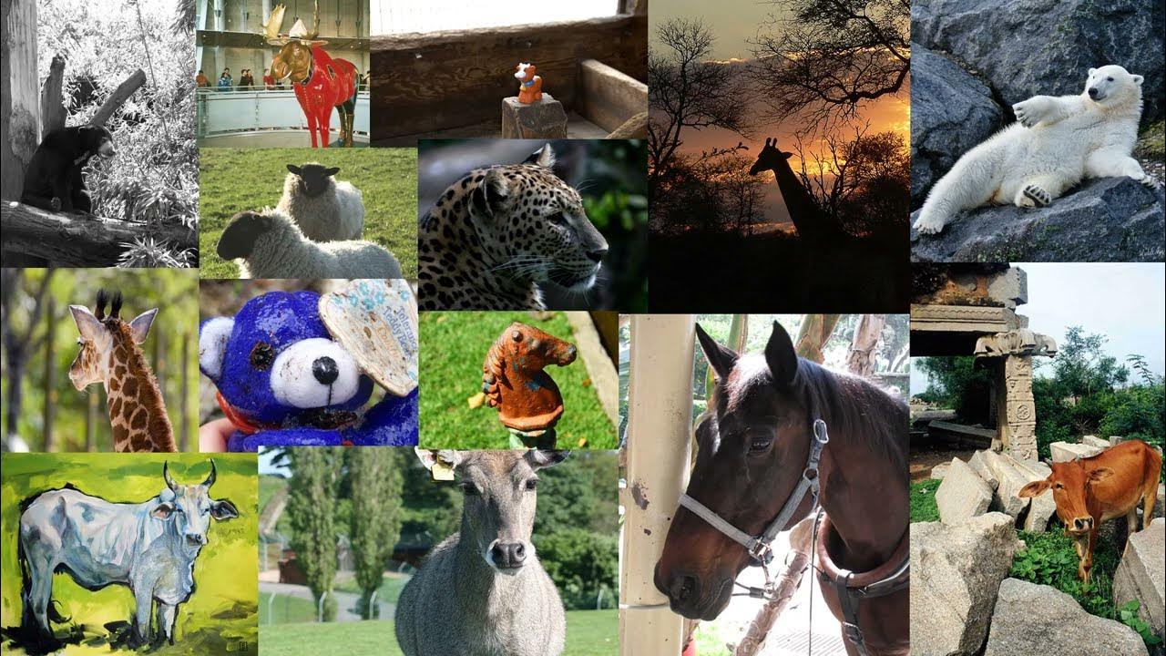 [CVPR 2023] Animals3D: Learning Articulated Shape with Keypoint Pseudo-labels from Web Images ...