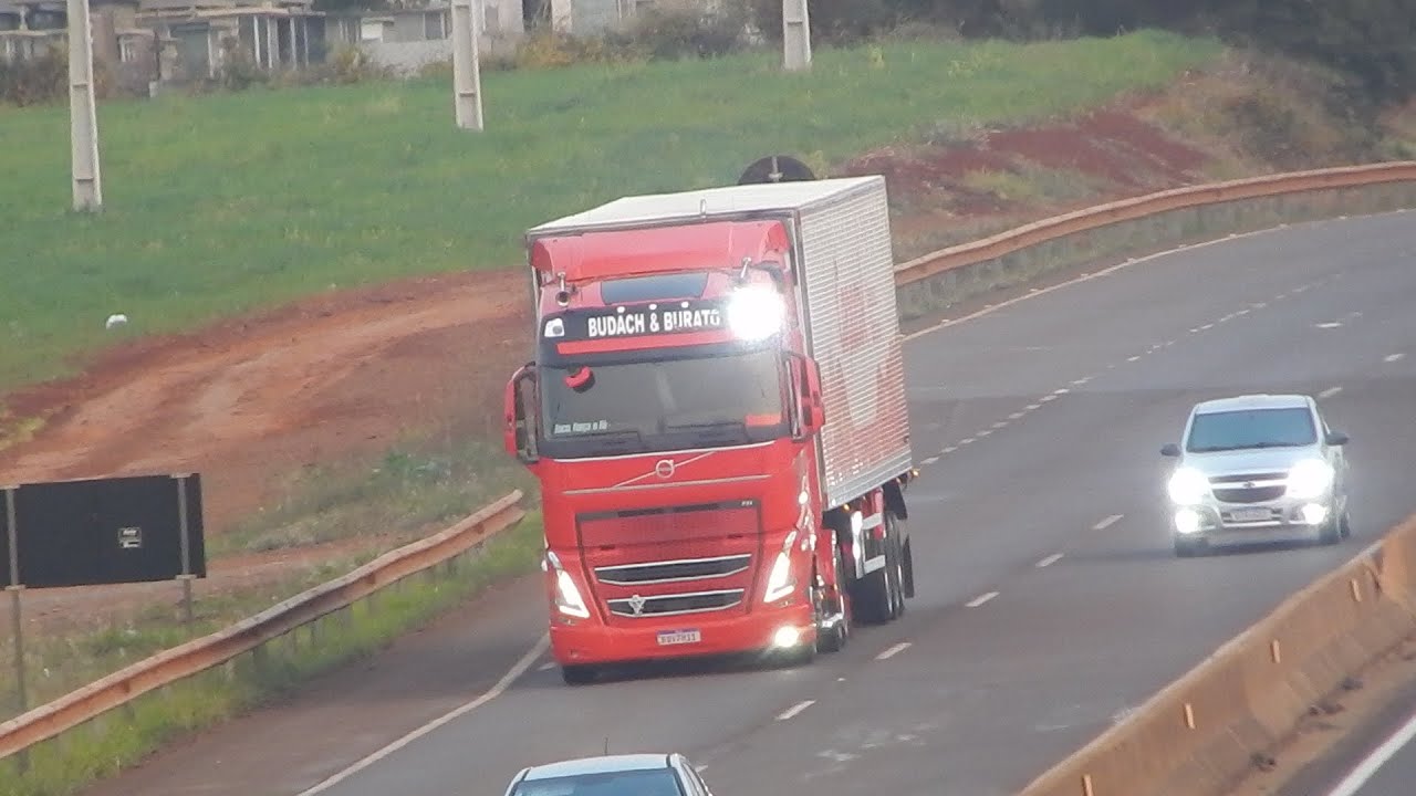 Sucuri 🤩🇧🇷 - YouTube