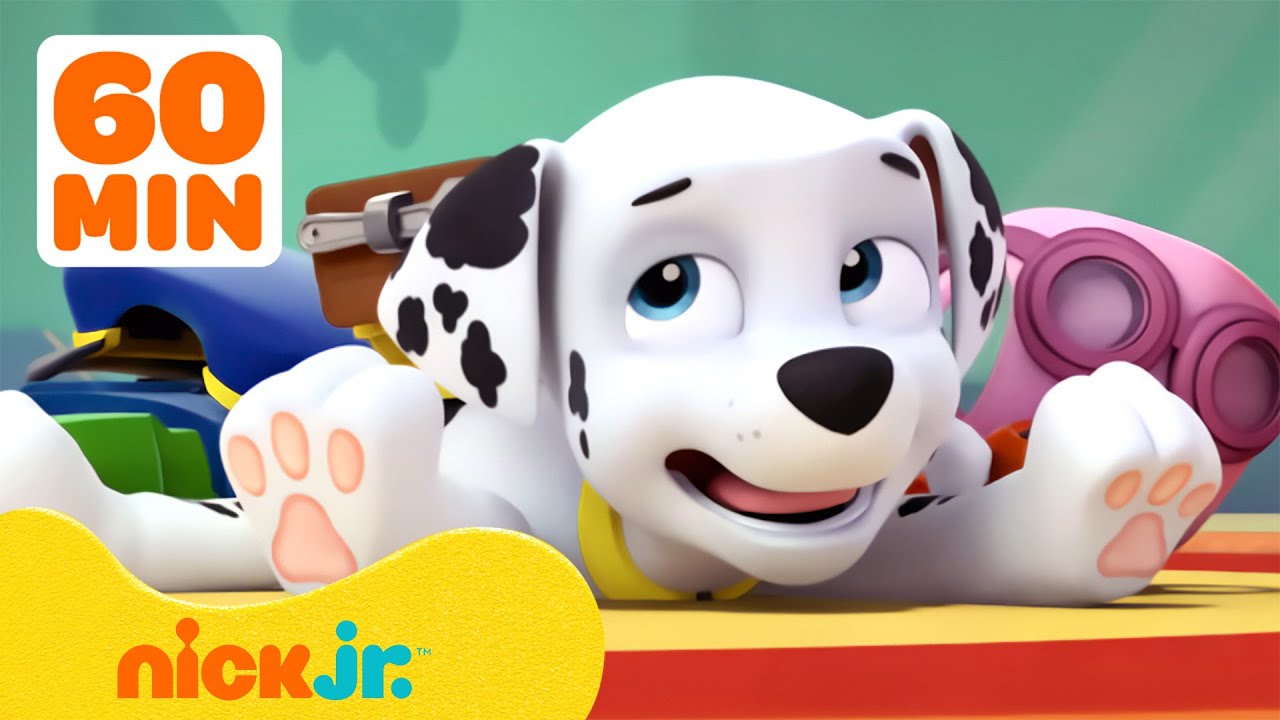 PAW Patrol - Marshalls albernste Momente! | 1-Stunde-Compilation | Nick ...