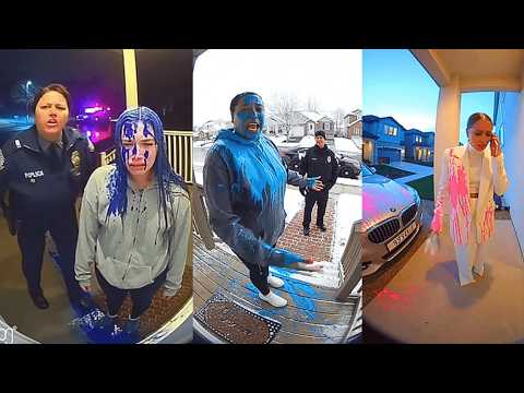 This Porch Pirate Didn’t See the Chaos Coming 😳 (Caught on Ring Camera)