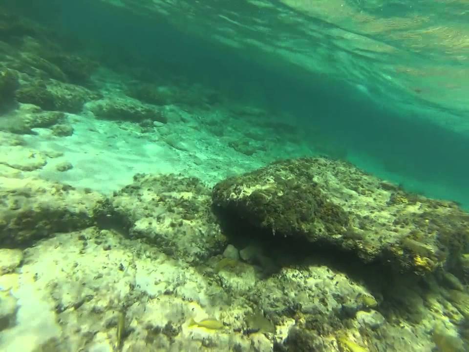 snorkeling in Coco Cay - YouTube