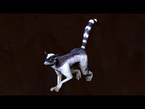 Path of Exile - Lemur Pet - YouTube