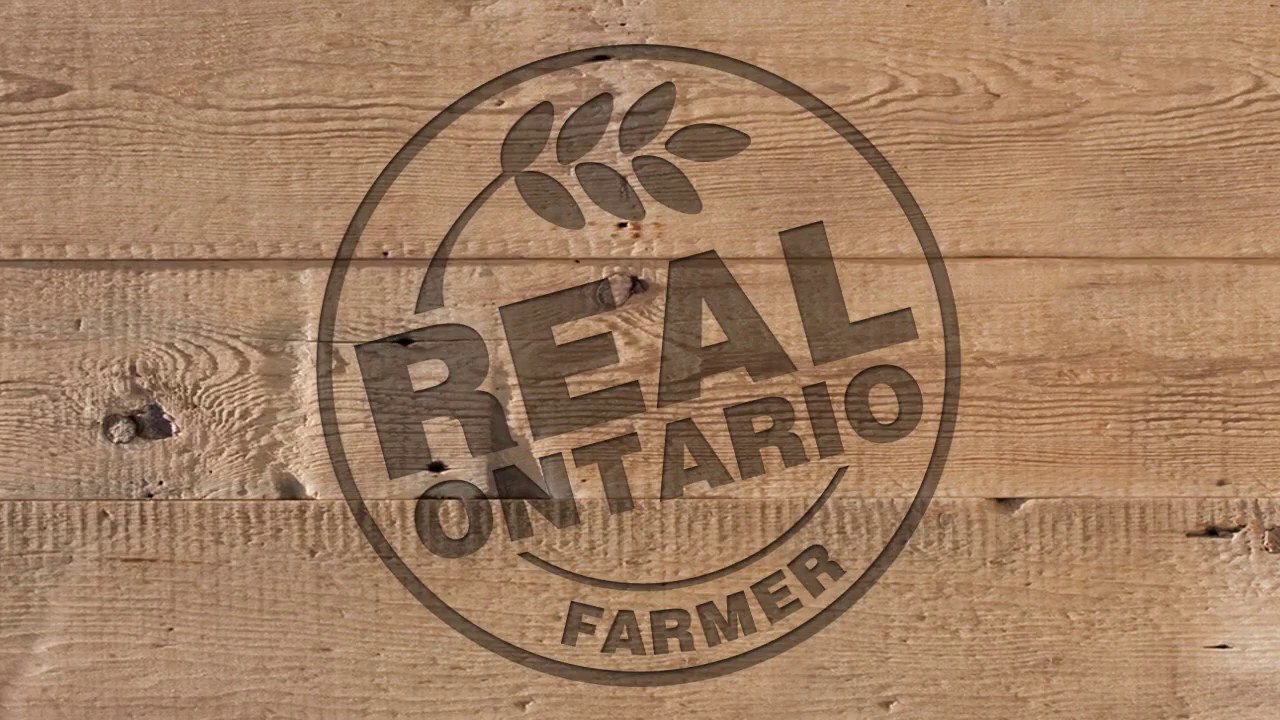 McCully's Hill Farm - YouTube