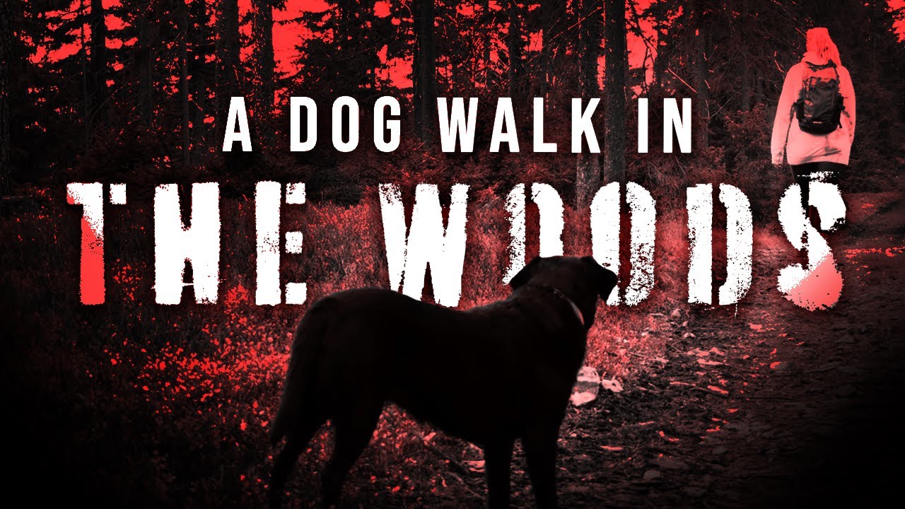 Disturbing True Dog Walk In The Woods - Horror Story - YouTube