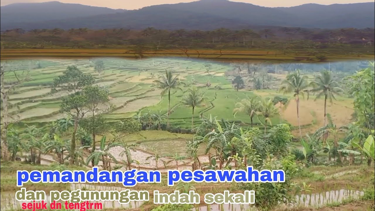pemandangan pesawahan dan pegunungan cukup indah dan sejuk - YouTube