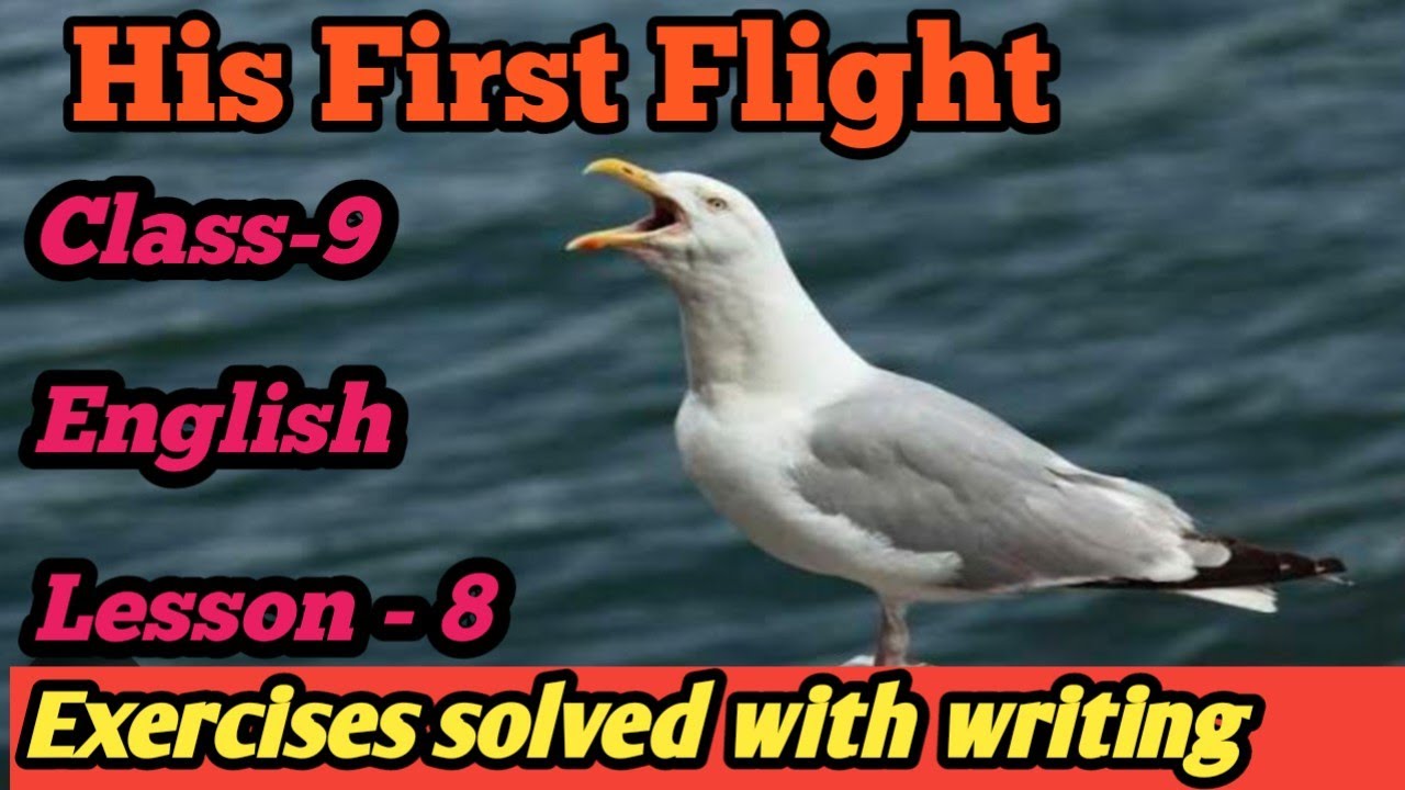 His First Flight by Liam O'Flaherty ll English textbook ll class-9 ...