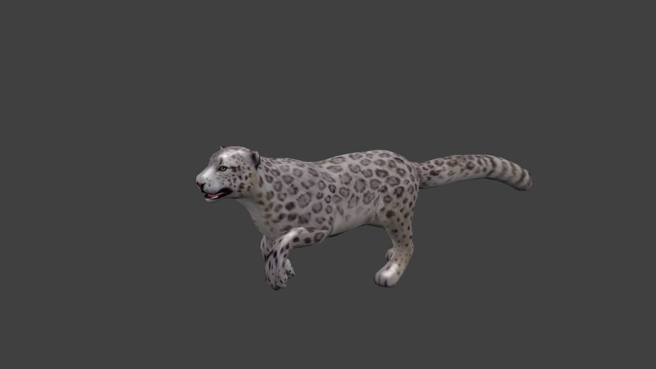 Snow Leopard Run Animation - YouTube