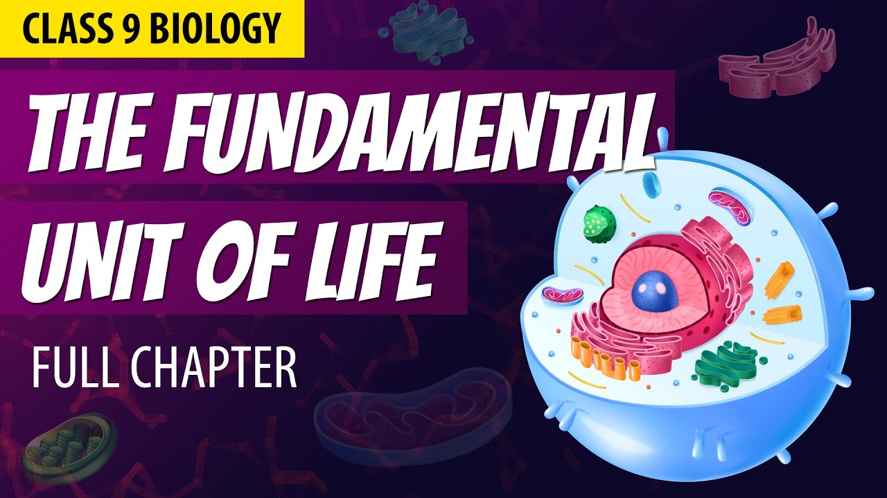 THE FUNDAMENTAL UNIT OF LIFE in 1 Shot | FULL Chapter Animation | Class ...
