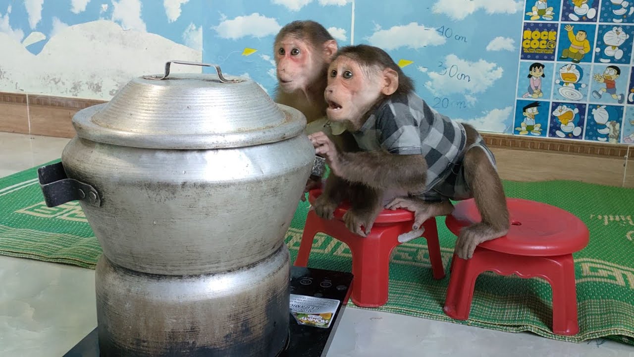 The Mimi Kuku duo is funny when rummaging through the pot of leaf cakes ...