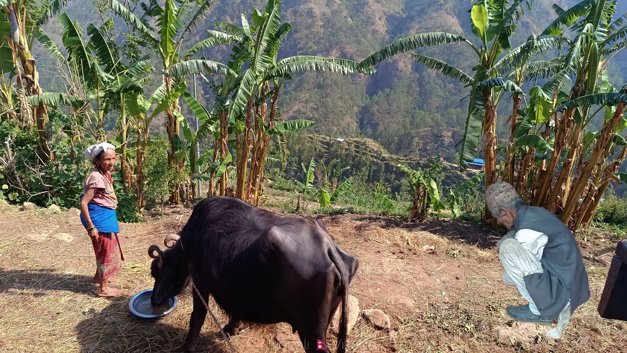 Most Beautiful Mountain Village in Nepali Chingad Rural Areas ...