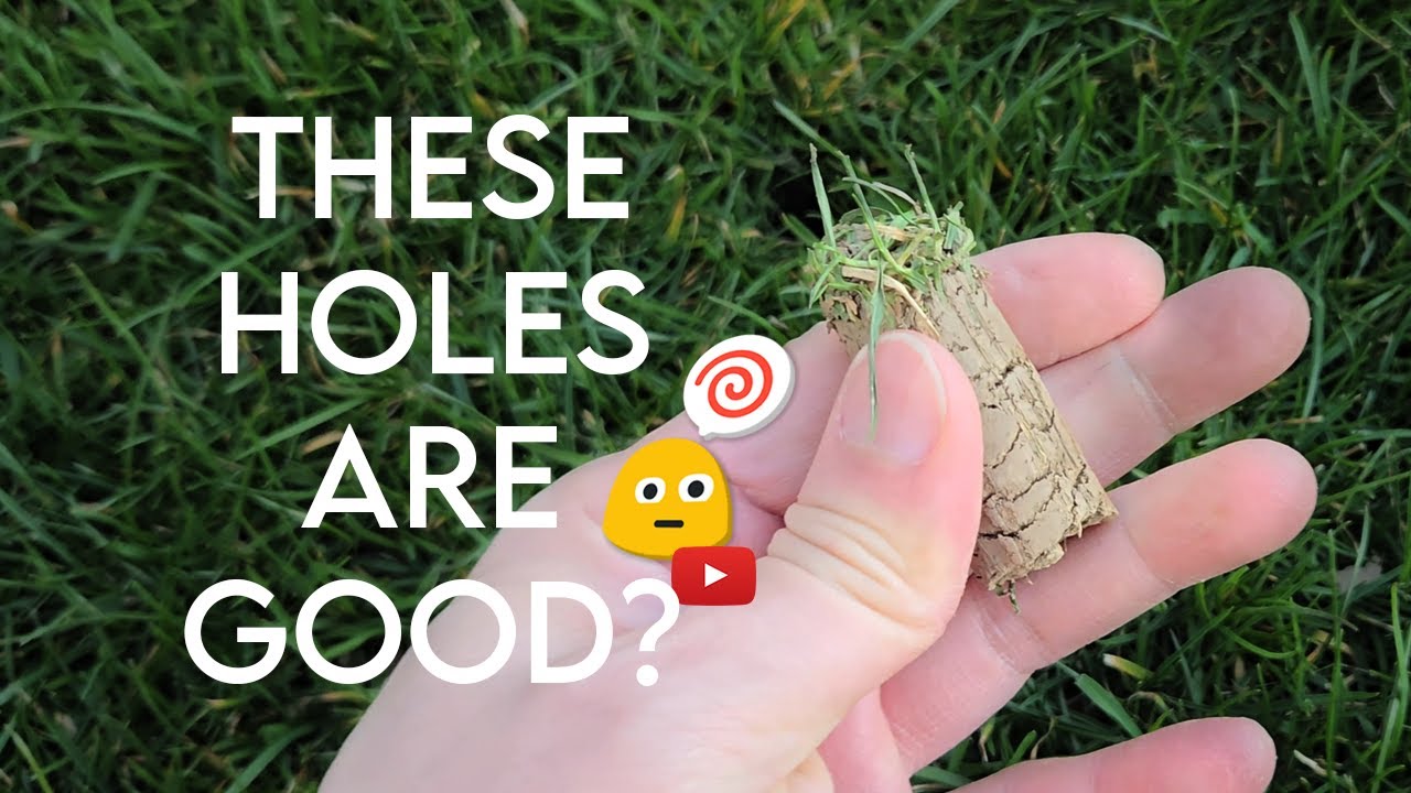 🌱 Why you should be aerating your spring lawn! Poking holes to help ...