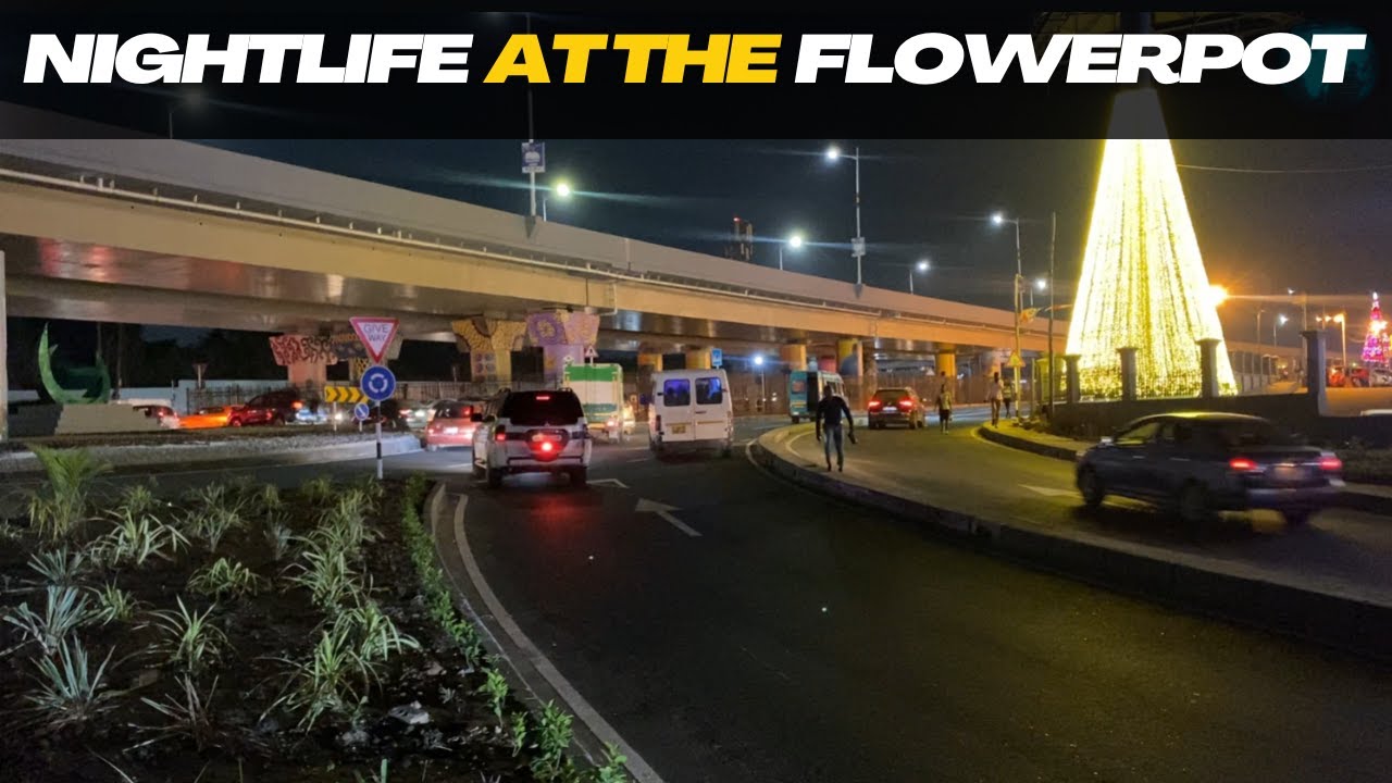 Exploring the Flowerpot Interchange at Night | Stunning Paintings ...