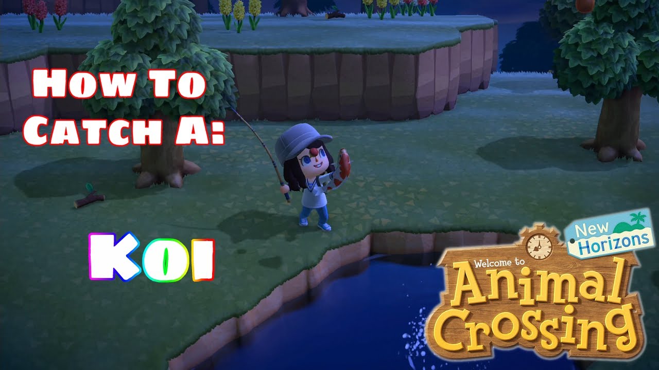 How To: Catch the Koi in Animal Crossing New Horizons - YouTube