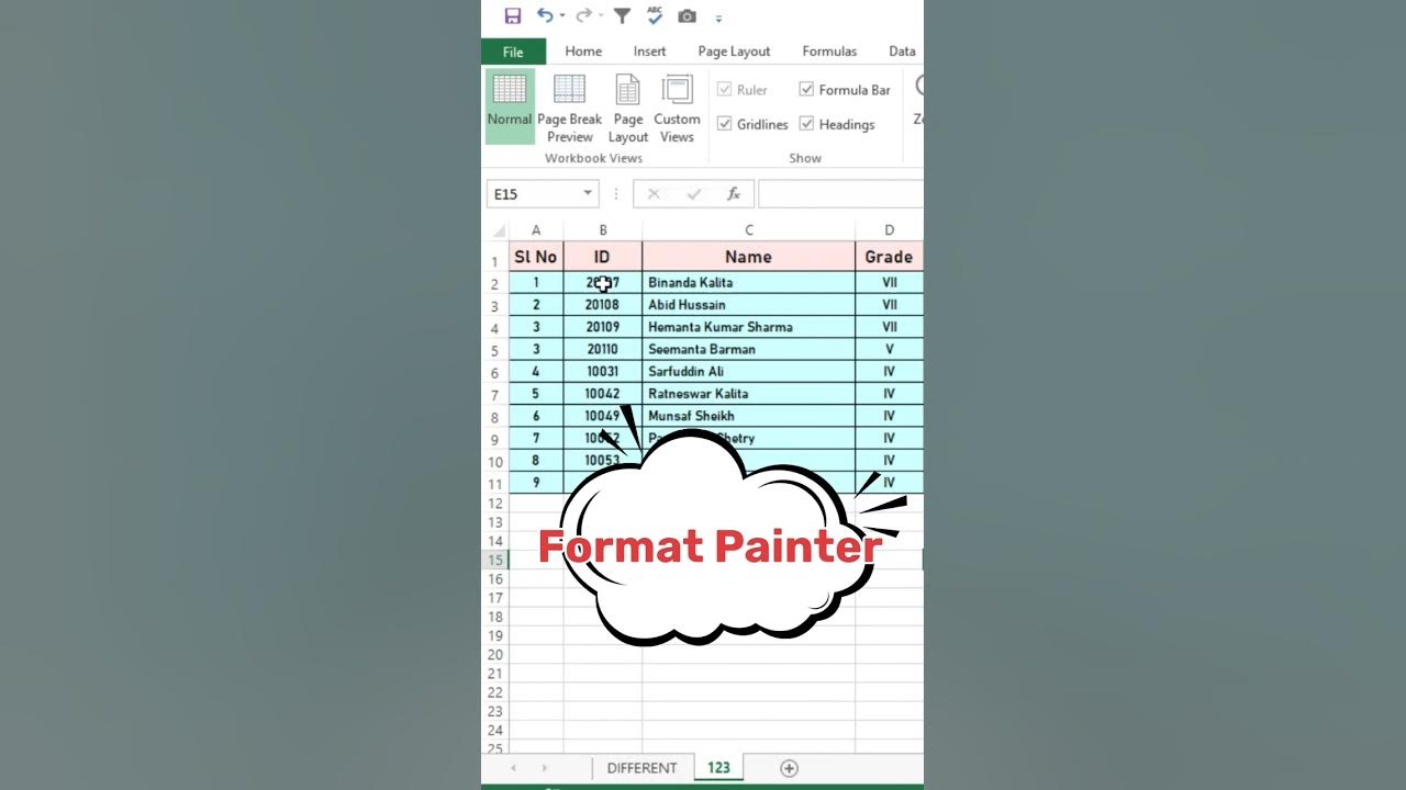 Mastering Format Painter in Excel: Boost Your Efficiency #excel - YouTube