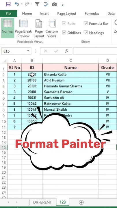 Mastering Format Painter in Excel: Boost Your Efficiency #excel - YouTube